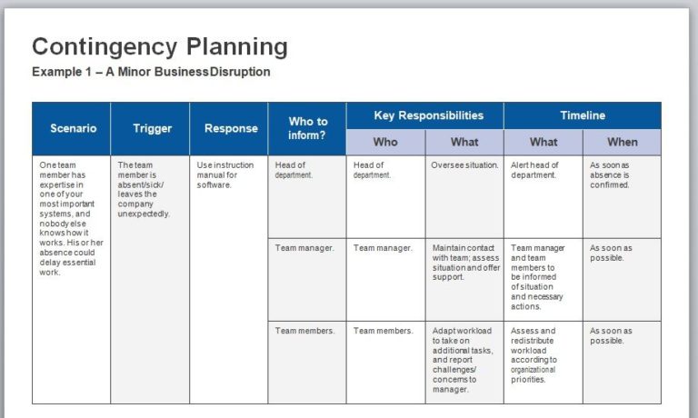 Free Risk Management Plan Templates - Free Word Templates