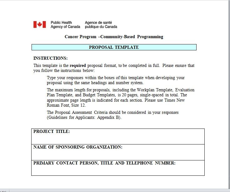 22 Free Business Plan Templates - Free Word Templates