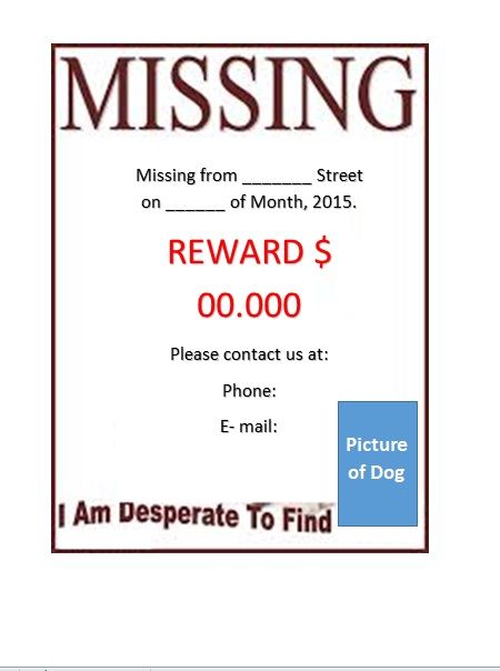 15 Free Missing Pet Poster Templates - Free Word Templates