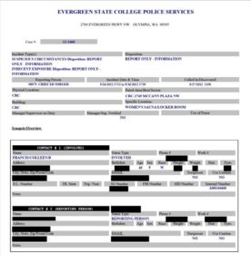 15 Free Police Report Templates - Free Word Templates