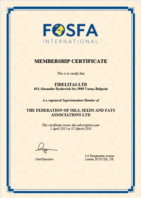 15 Free Membership Certificate Templates - Free Word Templates