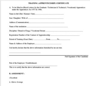 17 Free Training Certificate Templates - Free Word Templates