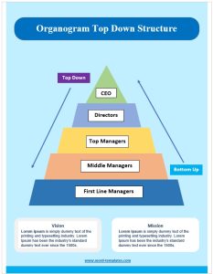 Free Organogram Top-Down Structure Templates {DOCX} - Free Word Templates